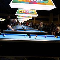 The Players - VNEA Pool Leagues